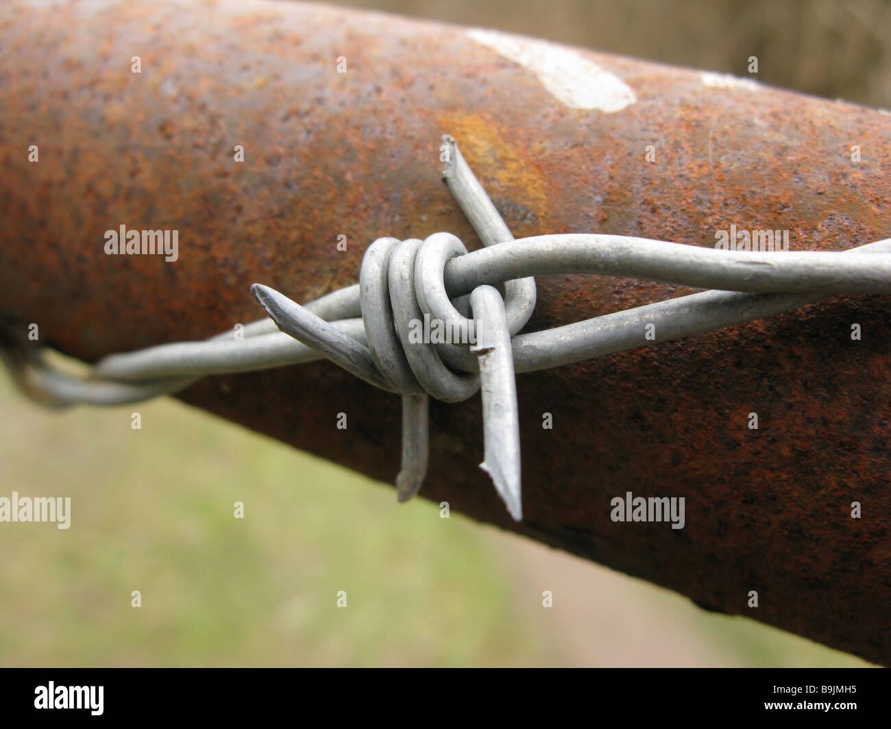 Barbed wire gate hi-res stock photography and images - Alamy