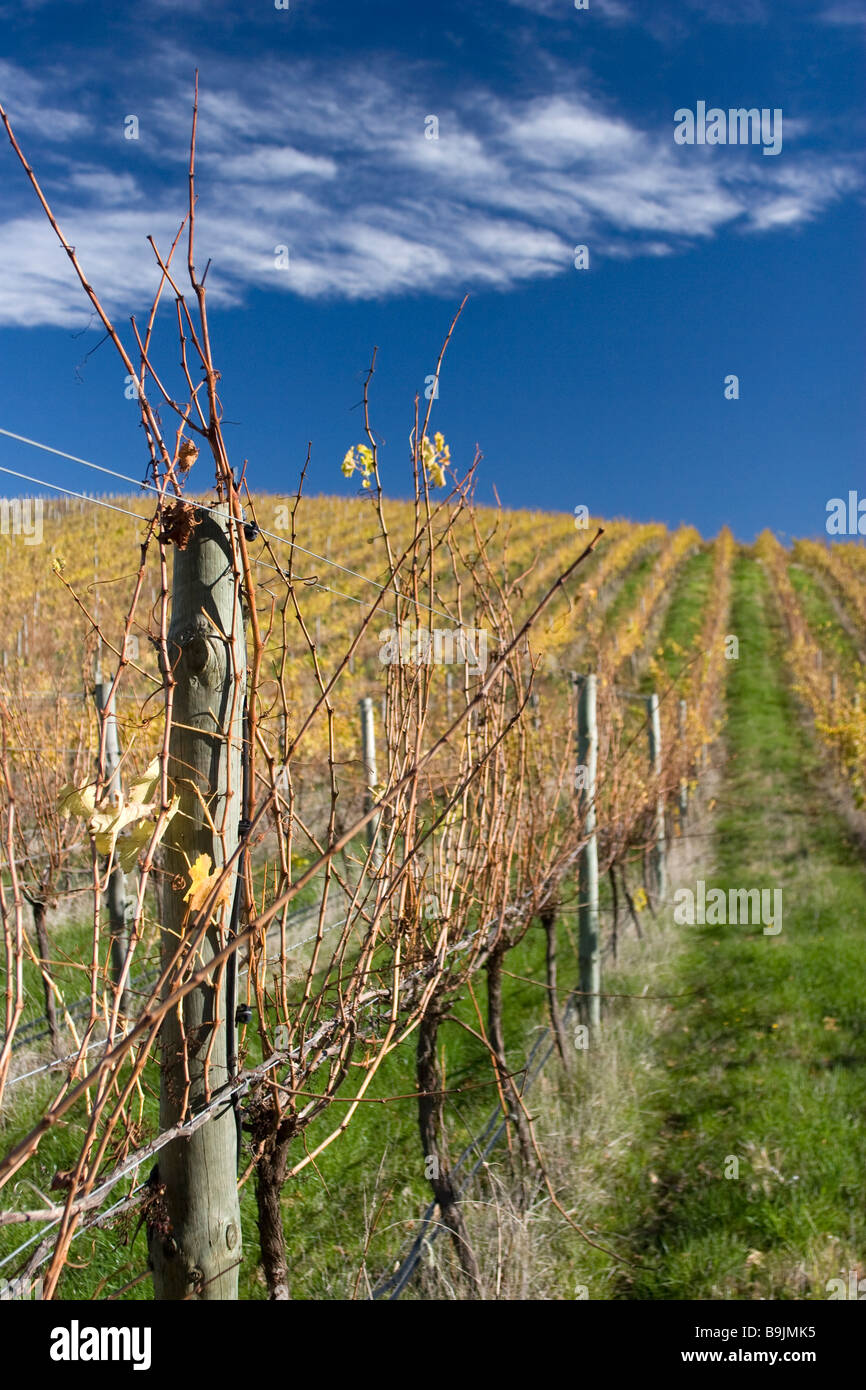 Autumn adelaide hills hi-res stock photography and images - Alamy