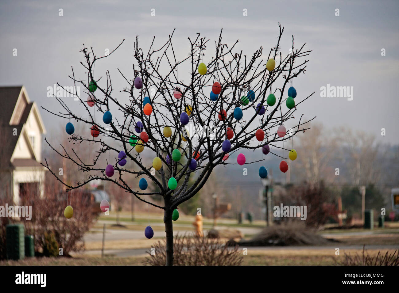 Easter Egg Tree Stock Photo - Alamy