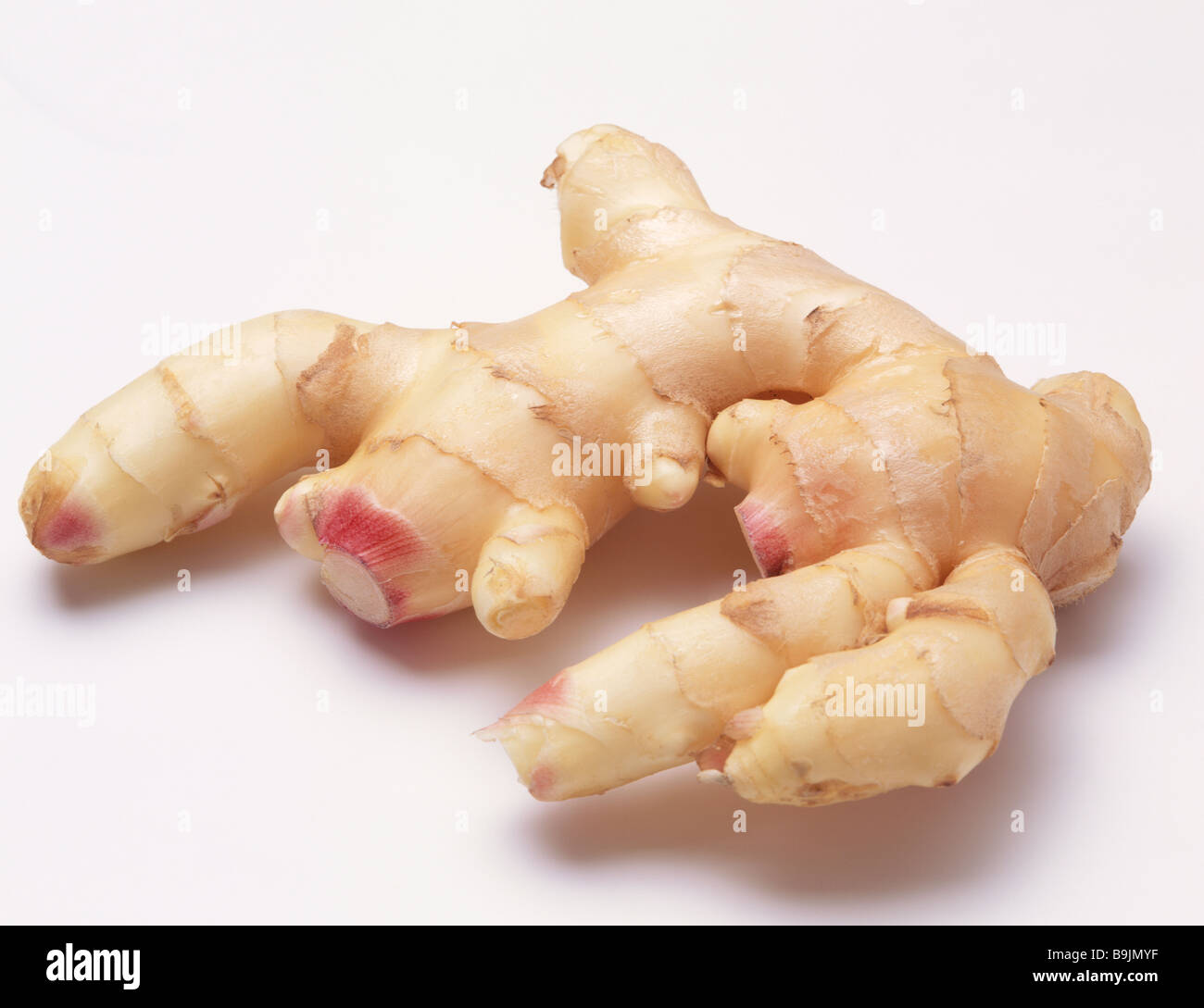 Horizontal ginger hi-res stock photography and images - Alamy