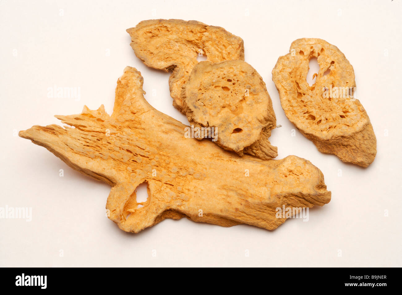 Largehead Atractylodes Rhizome against white background Stock Photo - Alamy