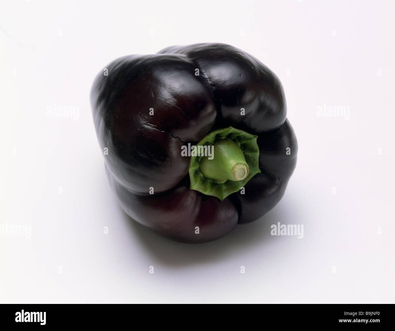 No paprika hi-res stock photography and images - Alamy