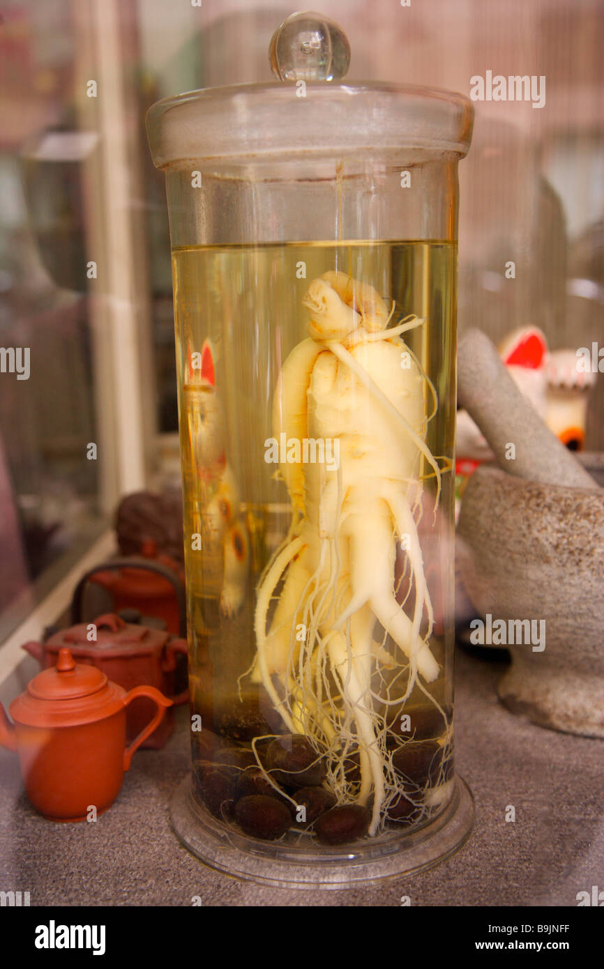 Glass jar with ginseng Stock Photo - Alamy