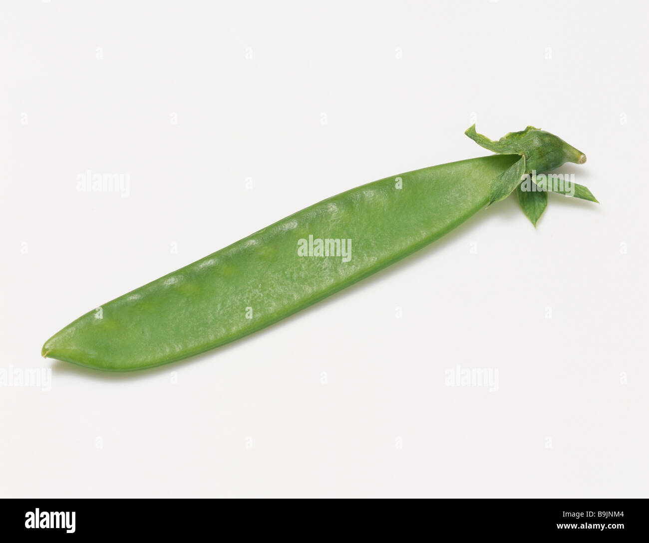 Field peas hi-res stock photography and images - Alamy