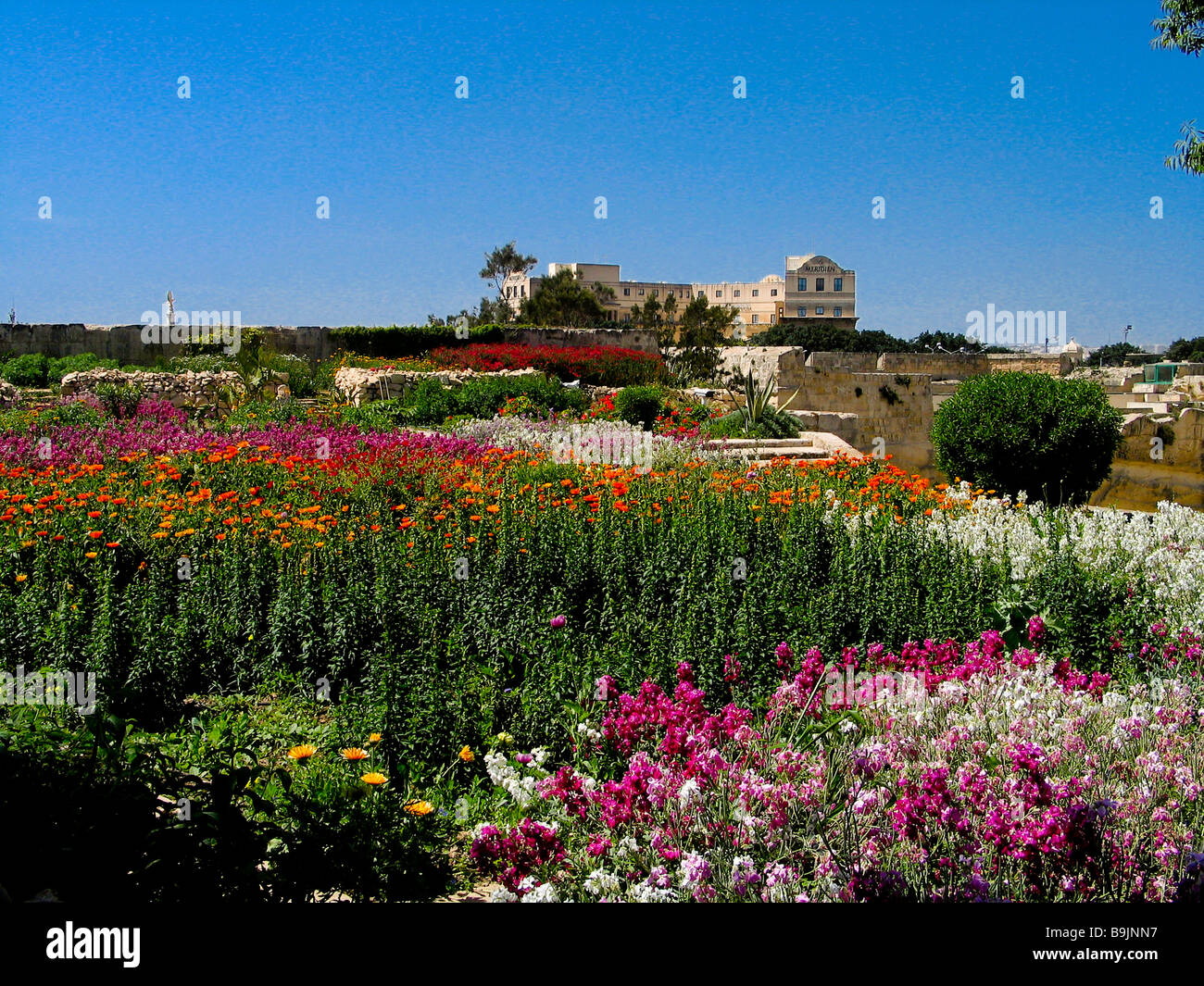 Government buildings valletta hi-res stock photography and images - Alamy