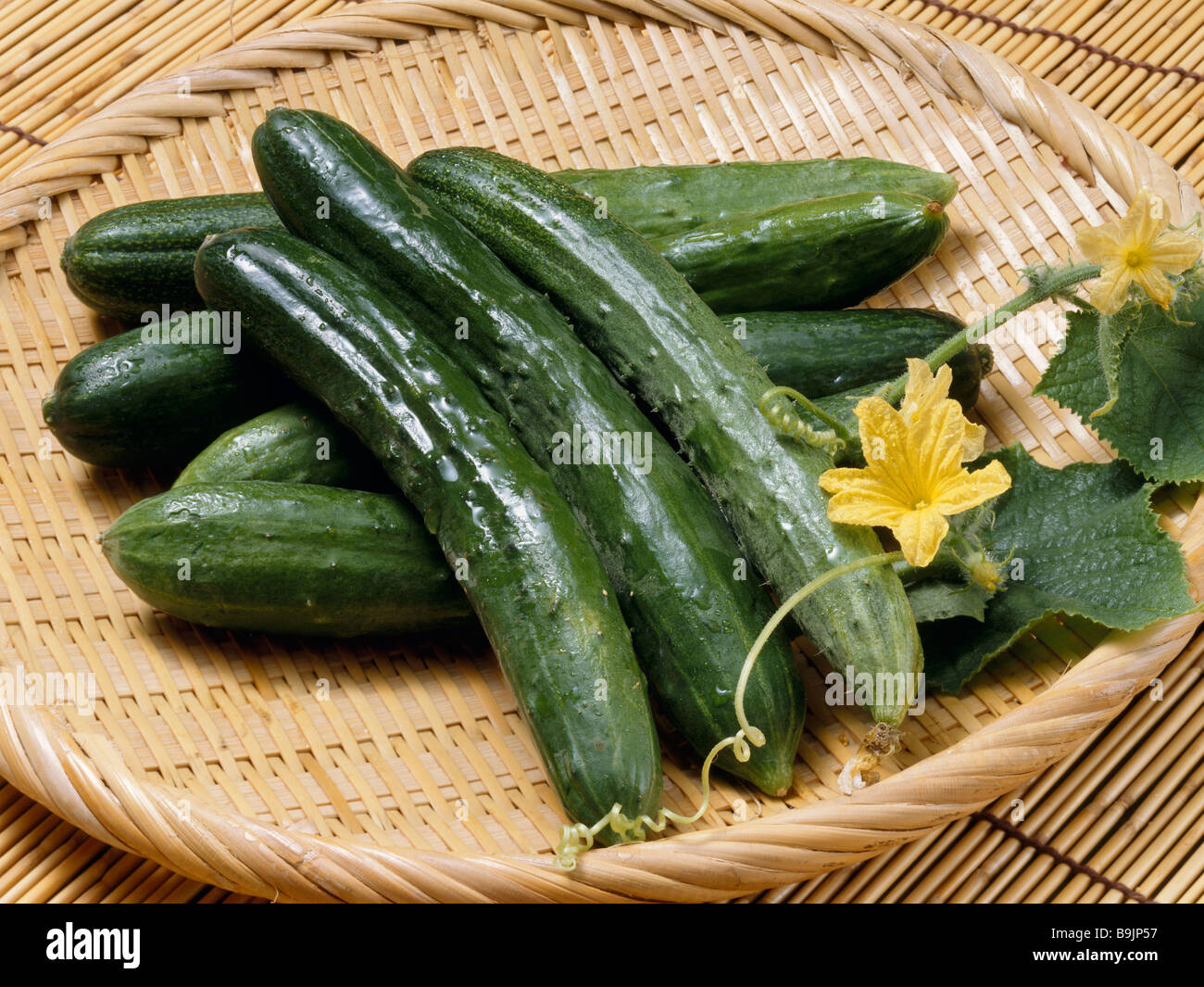 Cucumber horizontal hi-res stock photography and images - Alamy