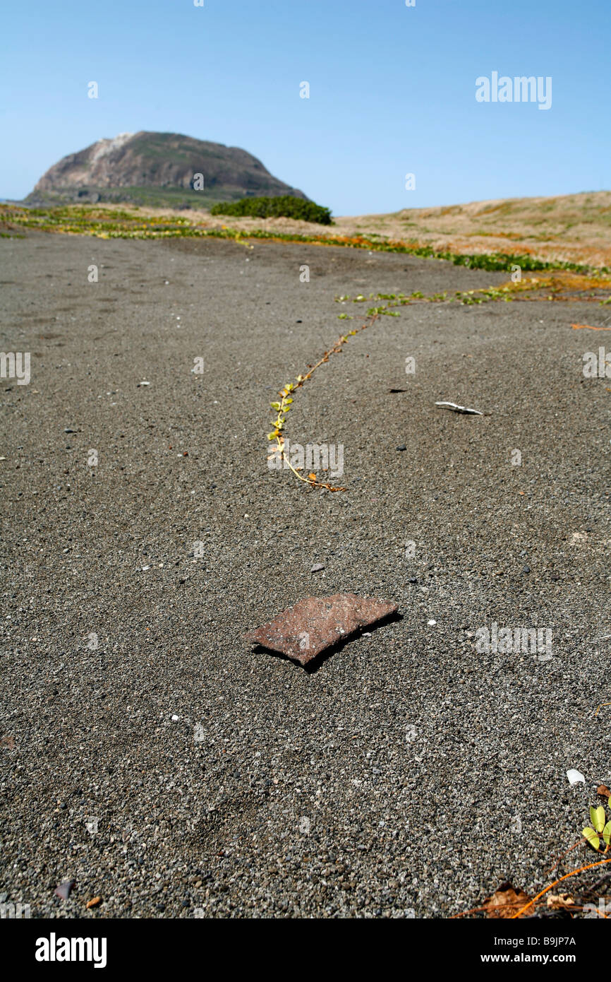 Piece of battle shrapnel from the WWII battle on Iwo Jima on one of the ...