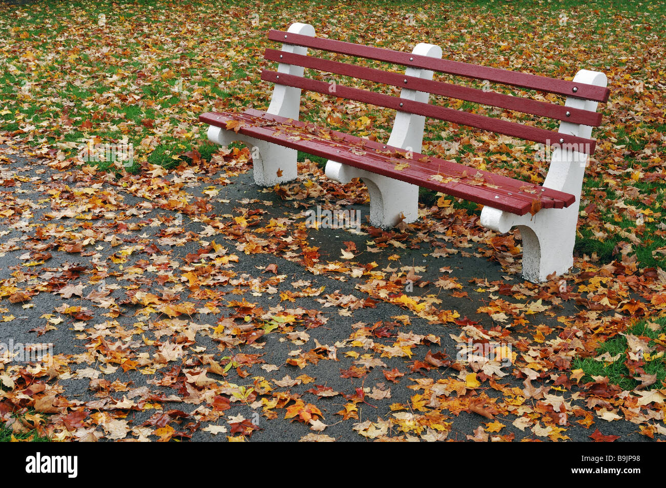 Park-bank fall foliage Stock Photo - Alamy