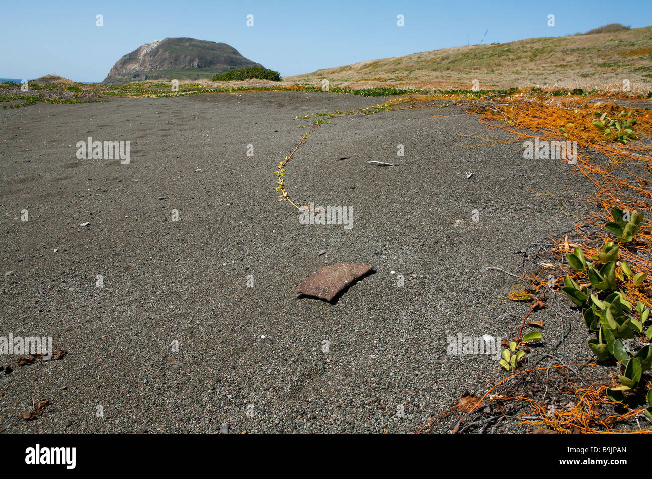 Piece of battle shrapnel from the WWII battle on Iwo Jima on one of the ...