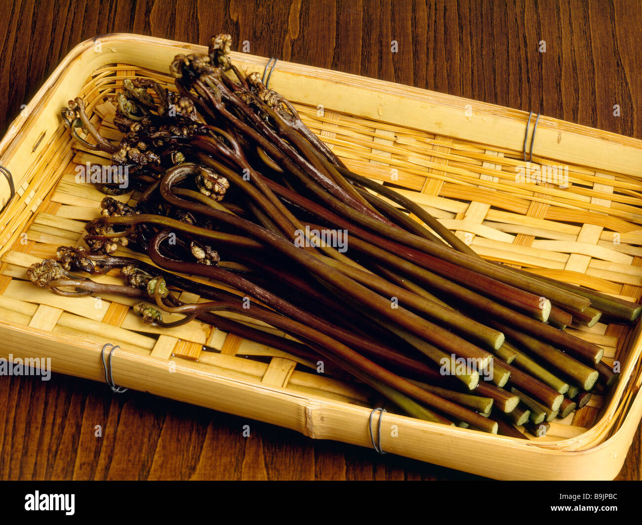 Bracken how hi-res stock photography and images - Alamy