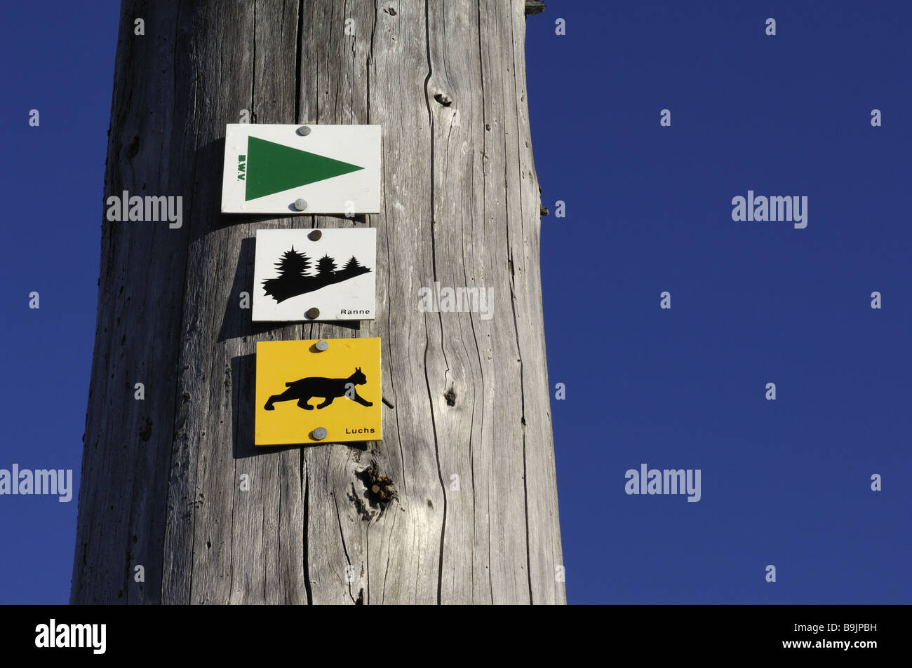 Log signs direction sign Stock Photo - Alamy