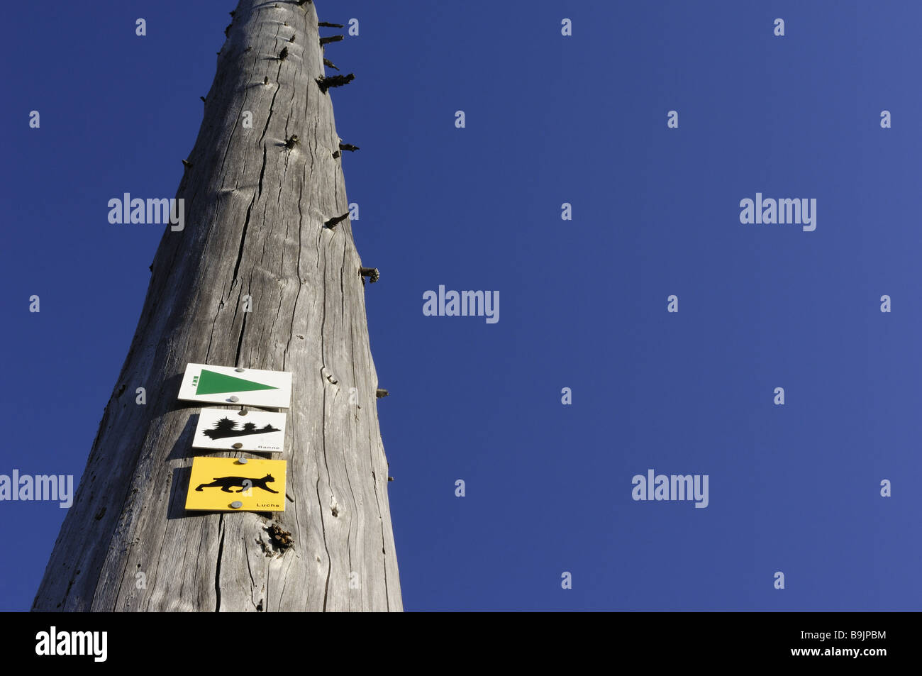 Log signs direction sign Stock Photo - Alamy