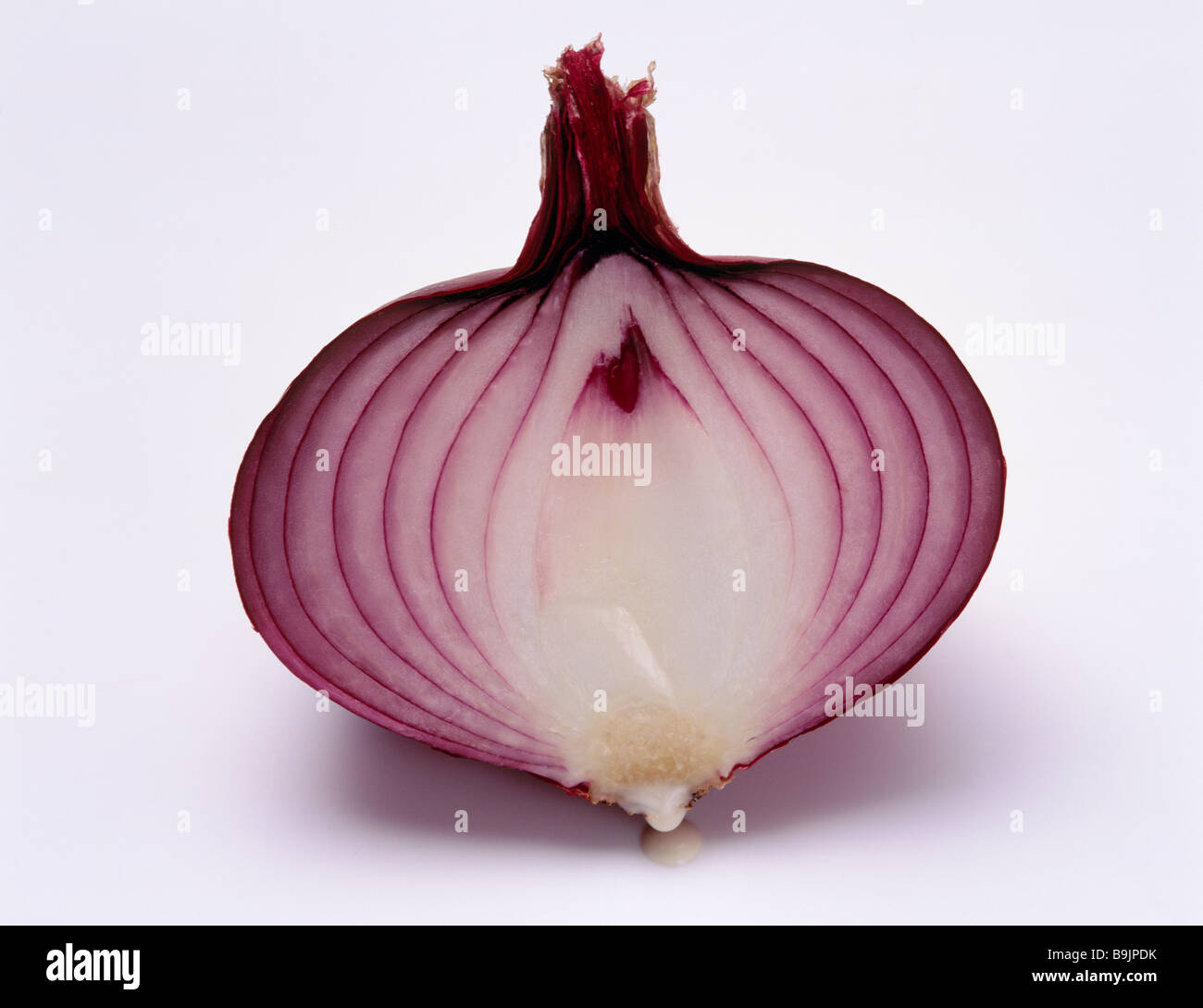 Cross section onion hi-res stock photography and images - Alamy