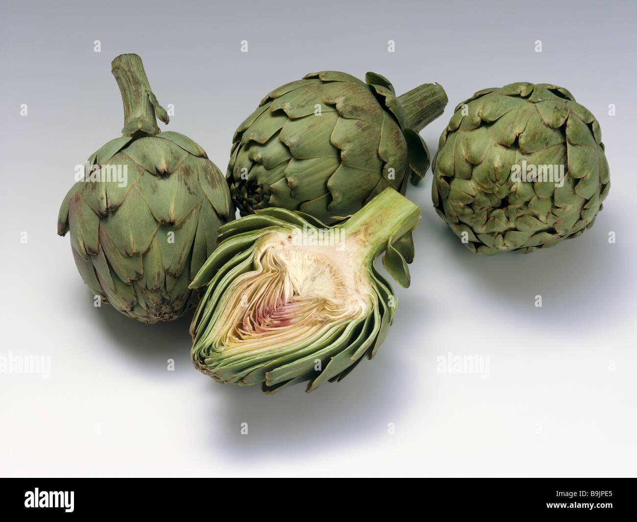 Artichoke cross section hi-res stock photography and images - Alamy