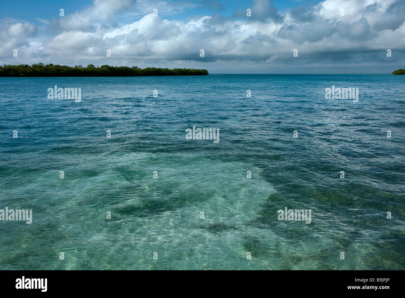 Belize keys hi-res stock photography and images - Alamy