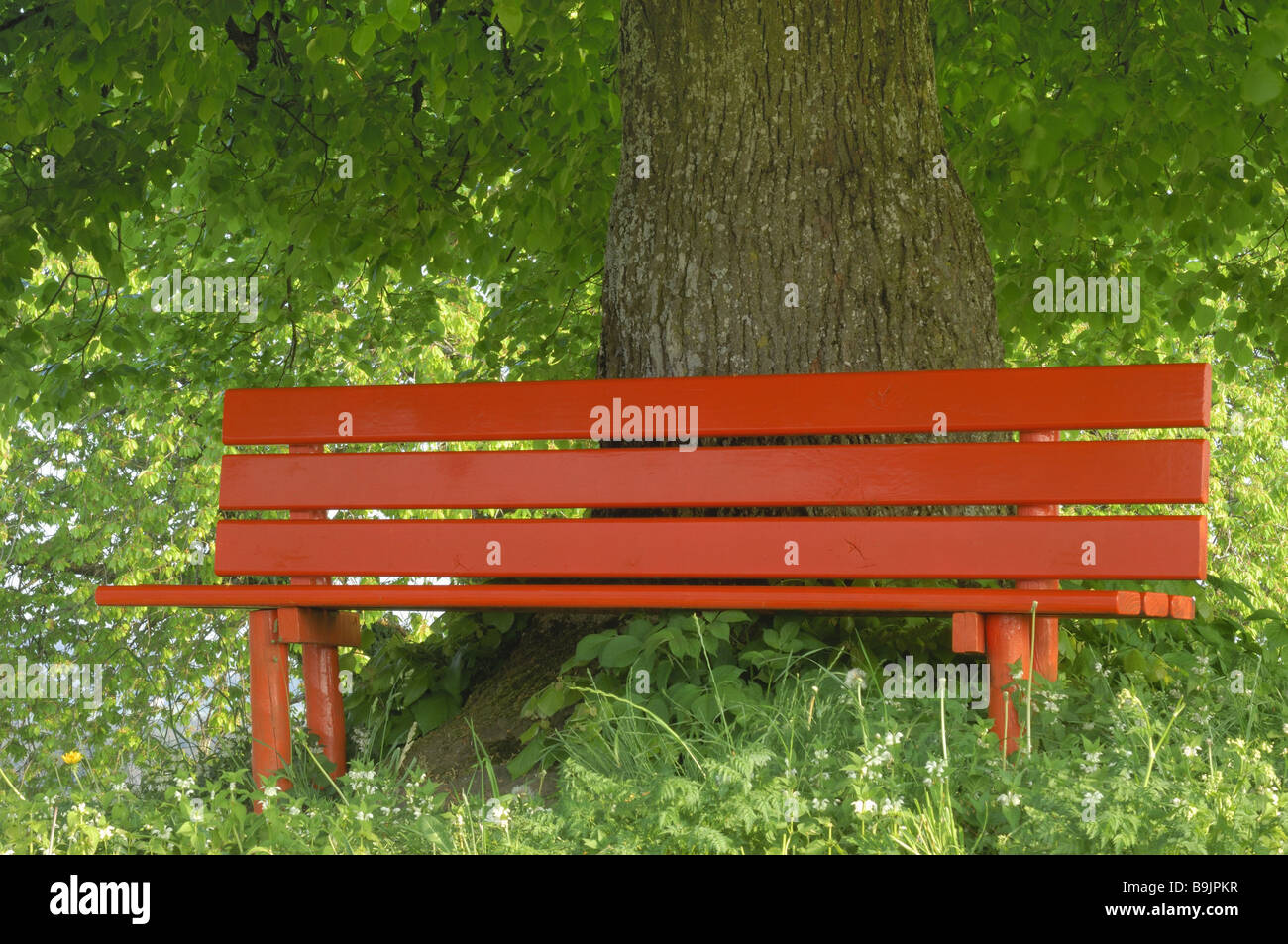 Log detail bank red spring Stock Photo - Alamy