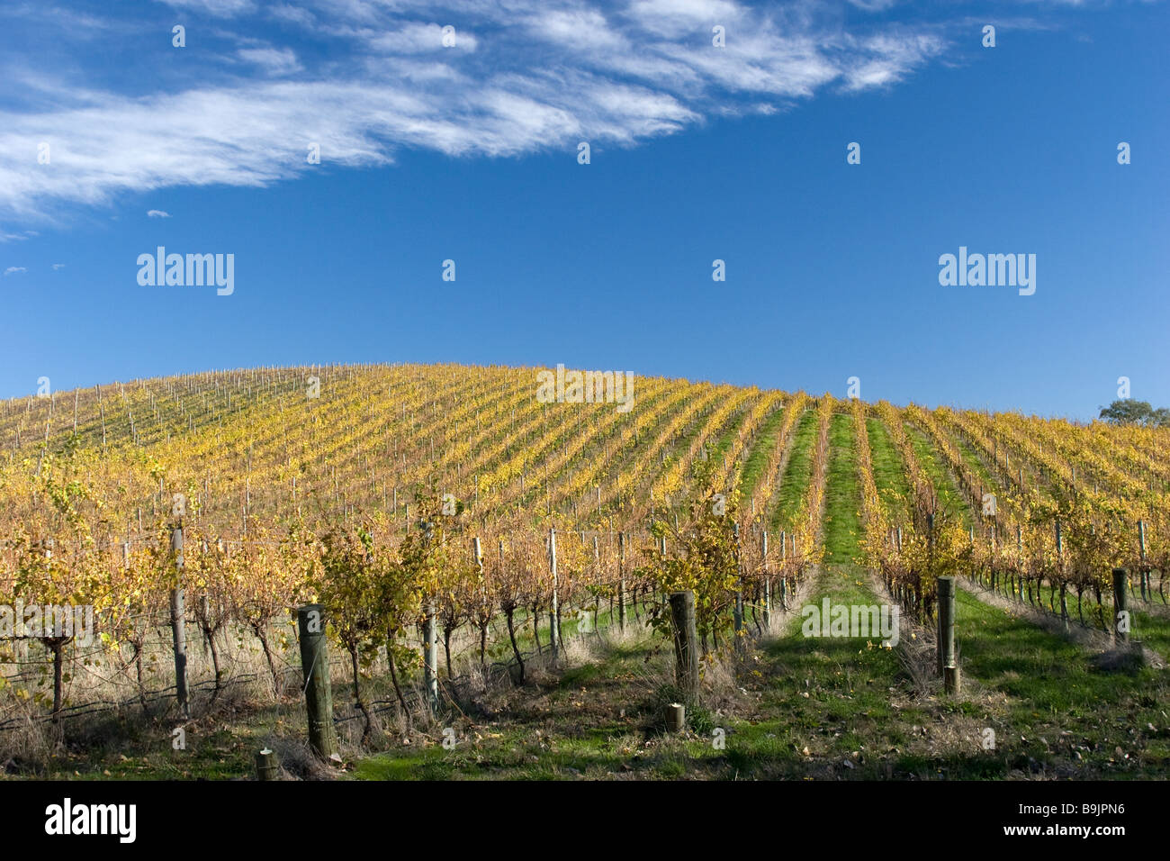 Autumn adelaide hills hi-res stock photography and images - Alamy