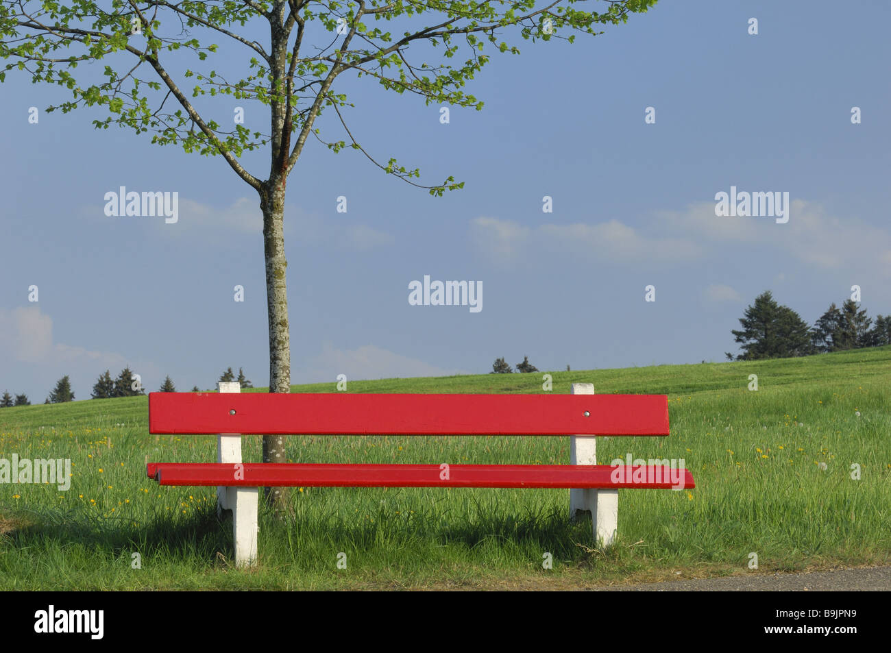 Landscape tree bank red spring Stock Photo - Alamy