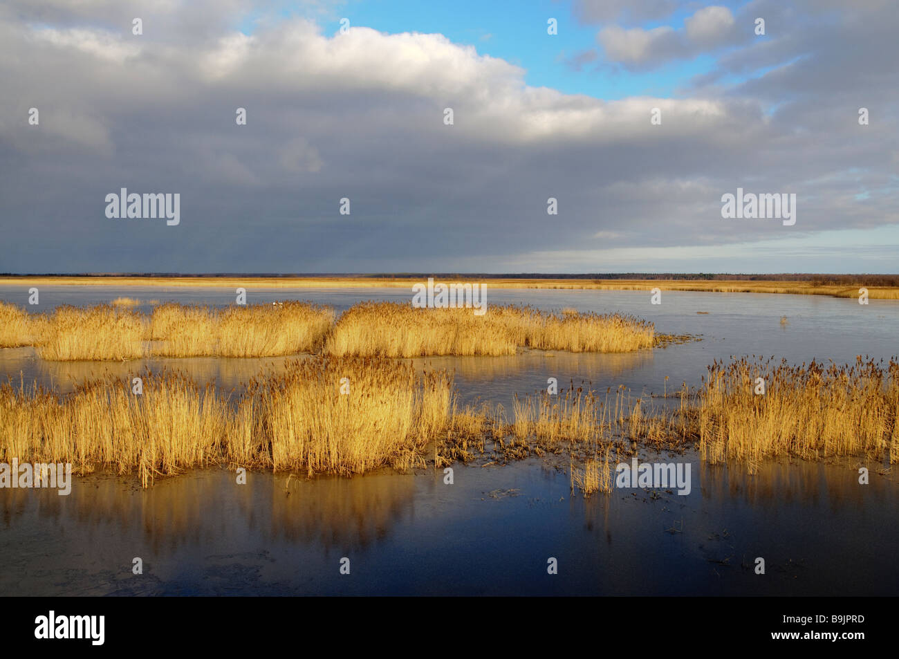Scenery of Lake Pape Stock Photo - Alamy