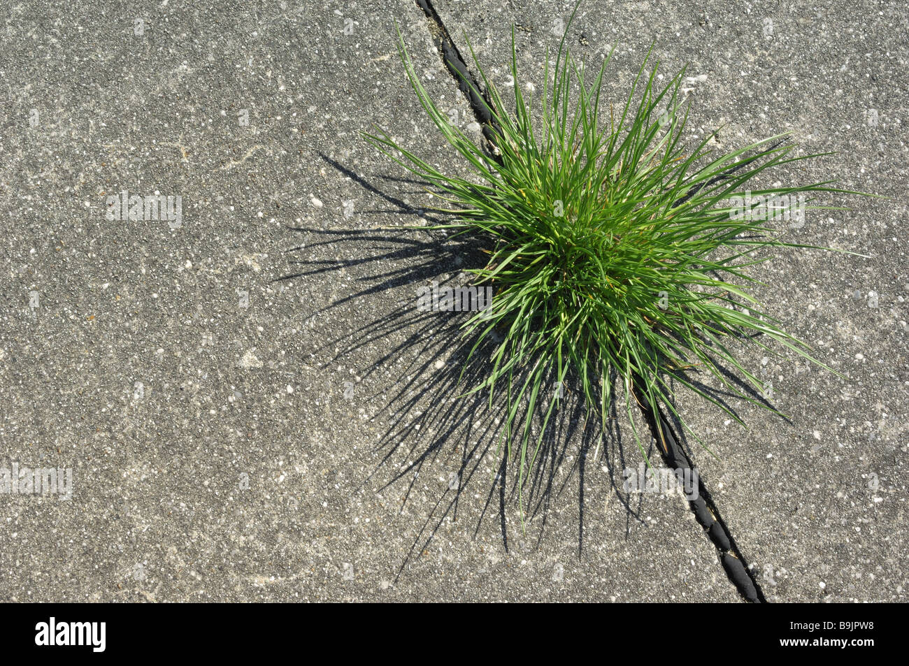 Opposing columns hi-res stock photography and images - Alamy