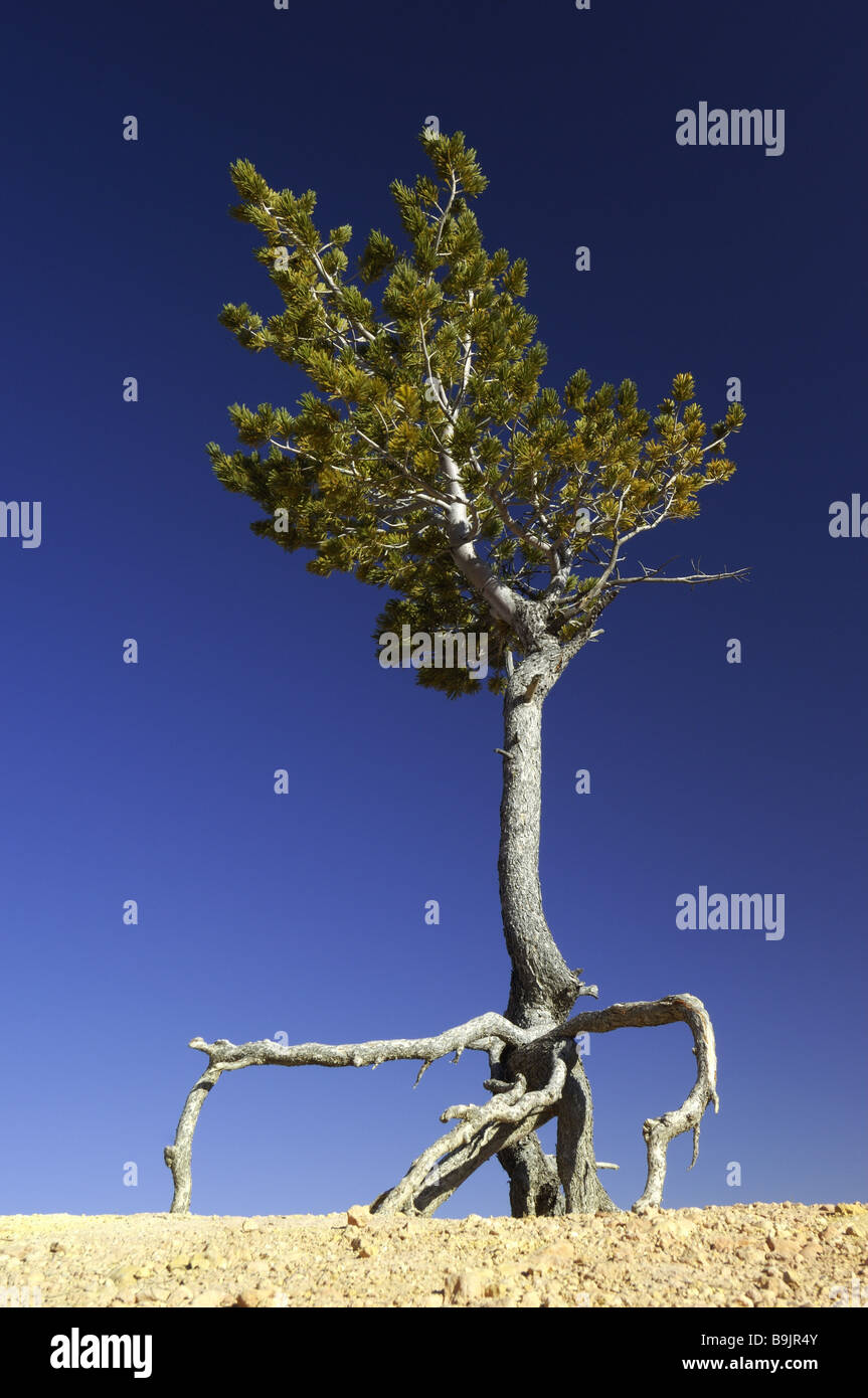 Jaws of heaven hi-res stock photography and images - Alamy