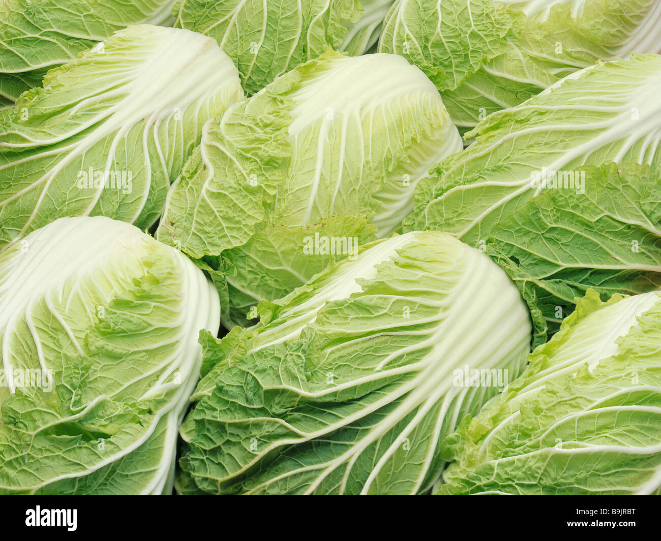 Cabbage horizontal hi-res stock photography and images - Alamy
