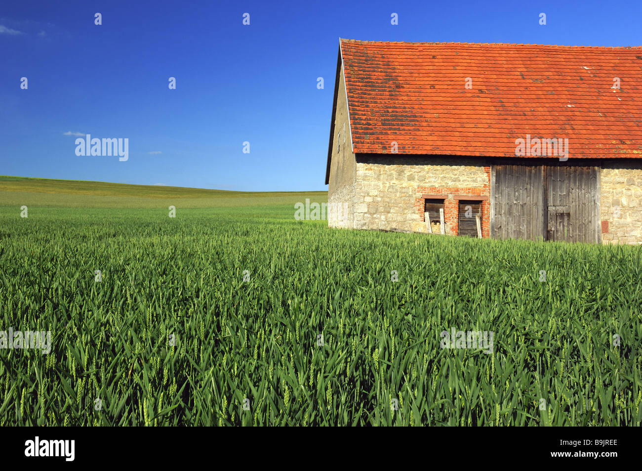 Barn grain fields Stock Photo - Alamy