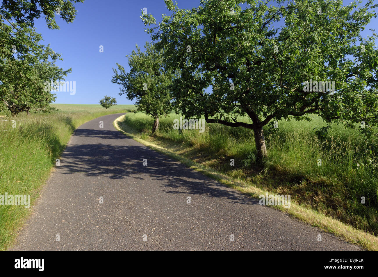 Tarred track hi-res stock photography and images - Alamy