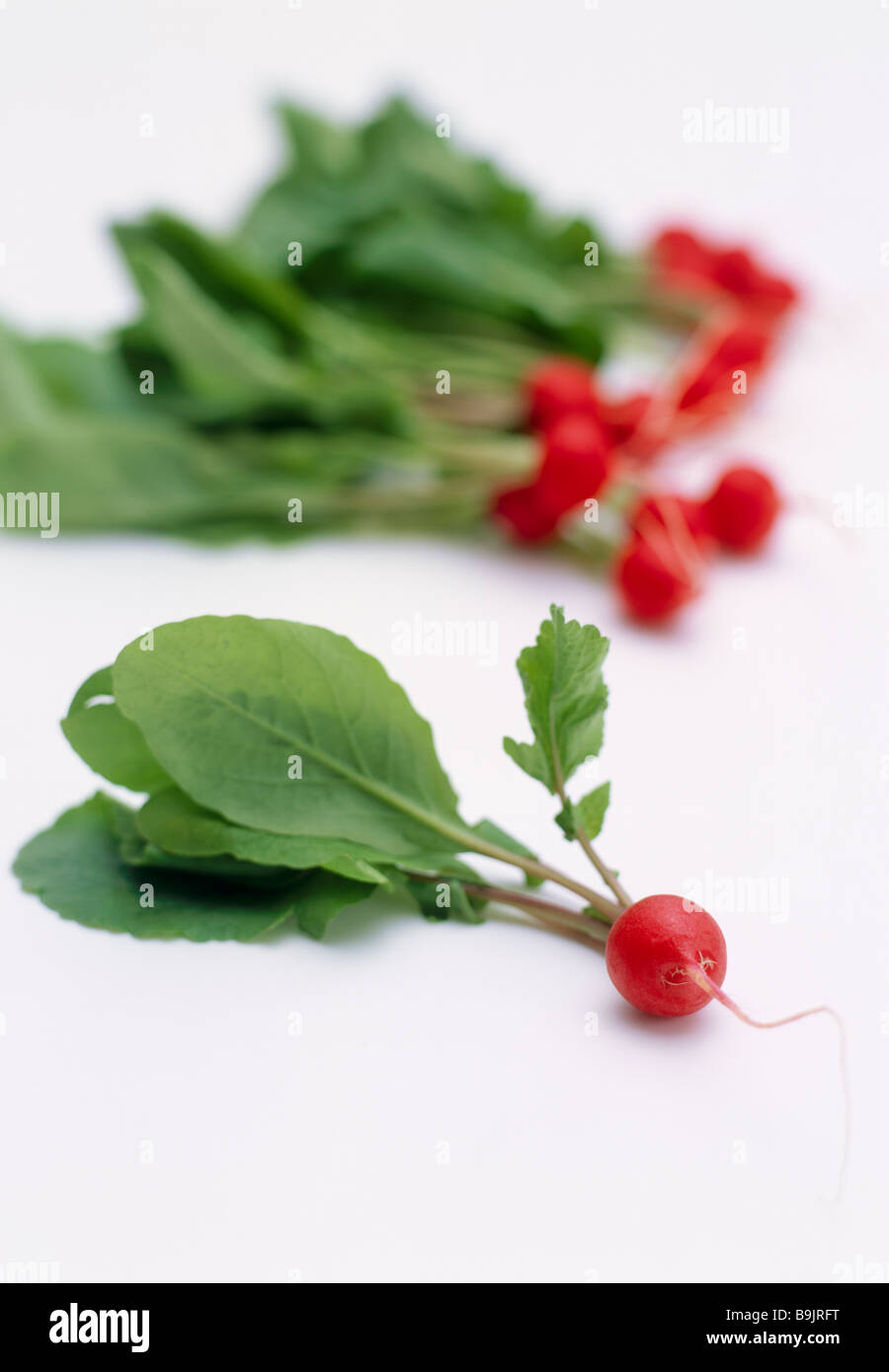 Vegetables as radish hi-res stock photography and images - Alamy