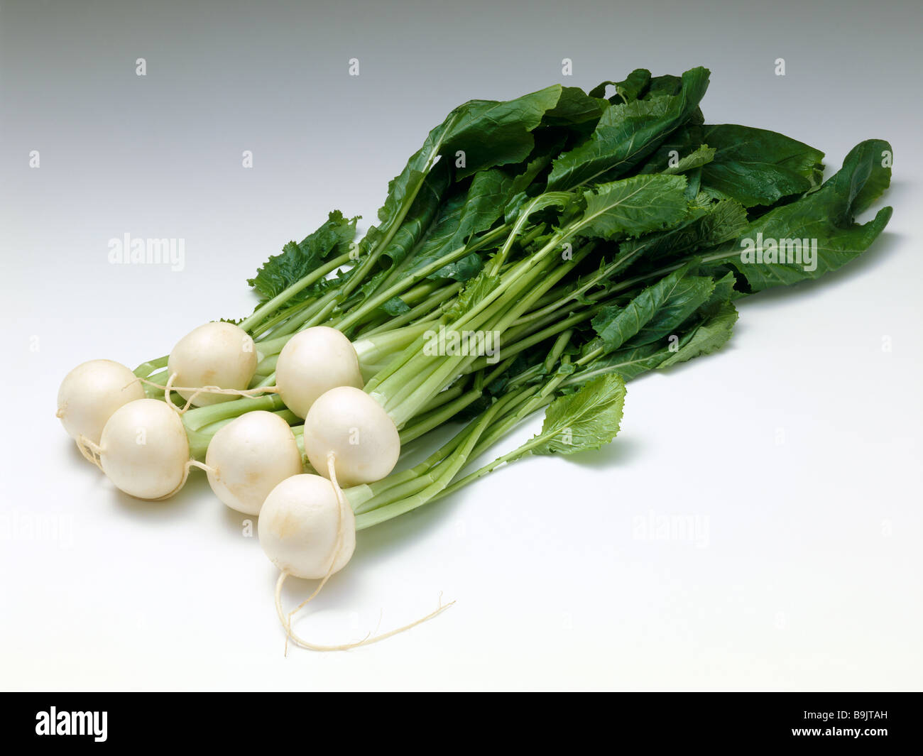 Turnip people hi-res stock photography and images - Alamy