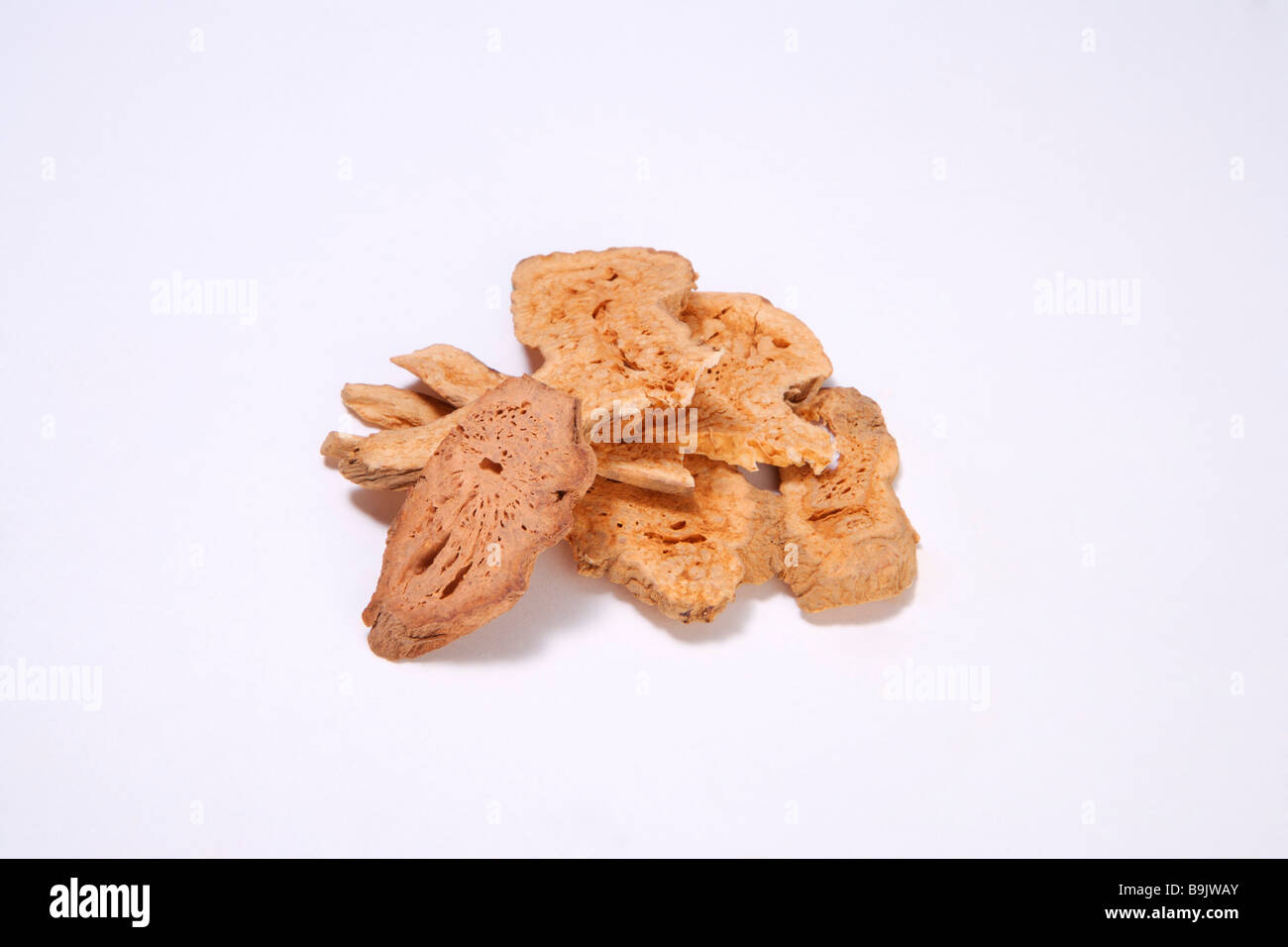 Largehead Atractylodes Rhizome Stock Photo - Alamy