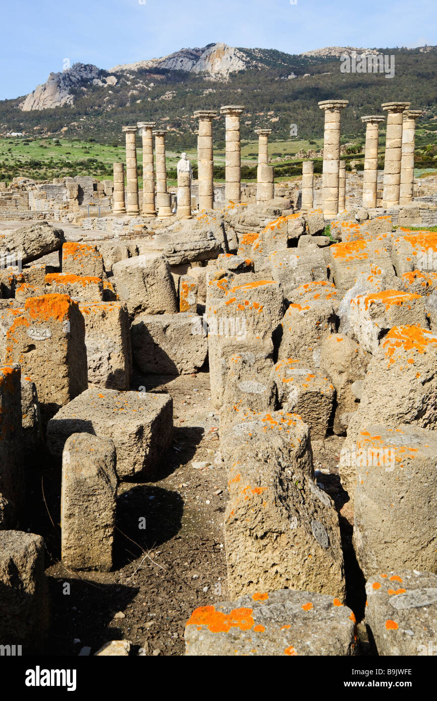 Basílica de bolonia hi-res stock photography and images - Alamy
