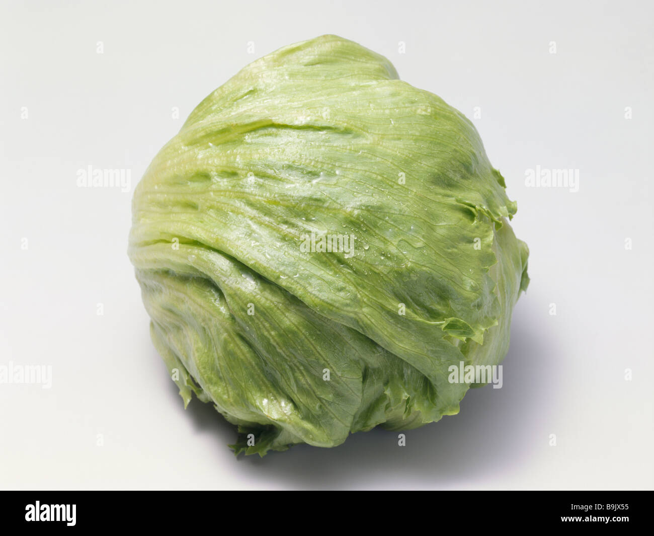 Lettuce background hi-res stock photography and images - Alamy