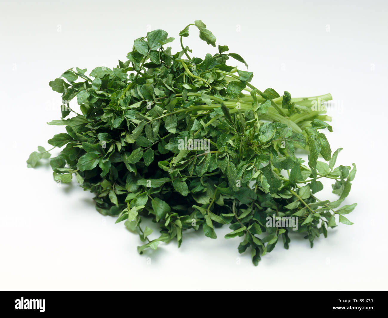 Watercress food hi-res stock photography and images - Alamy