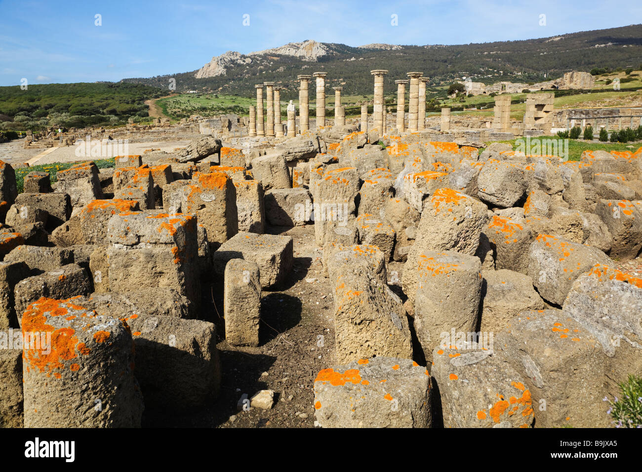 Basílica de bolonia hi-res stock photography and images - Alamy