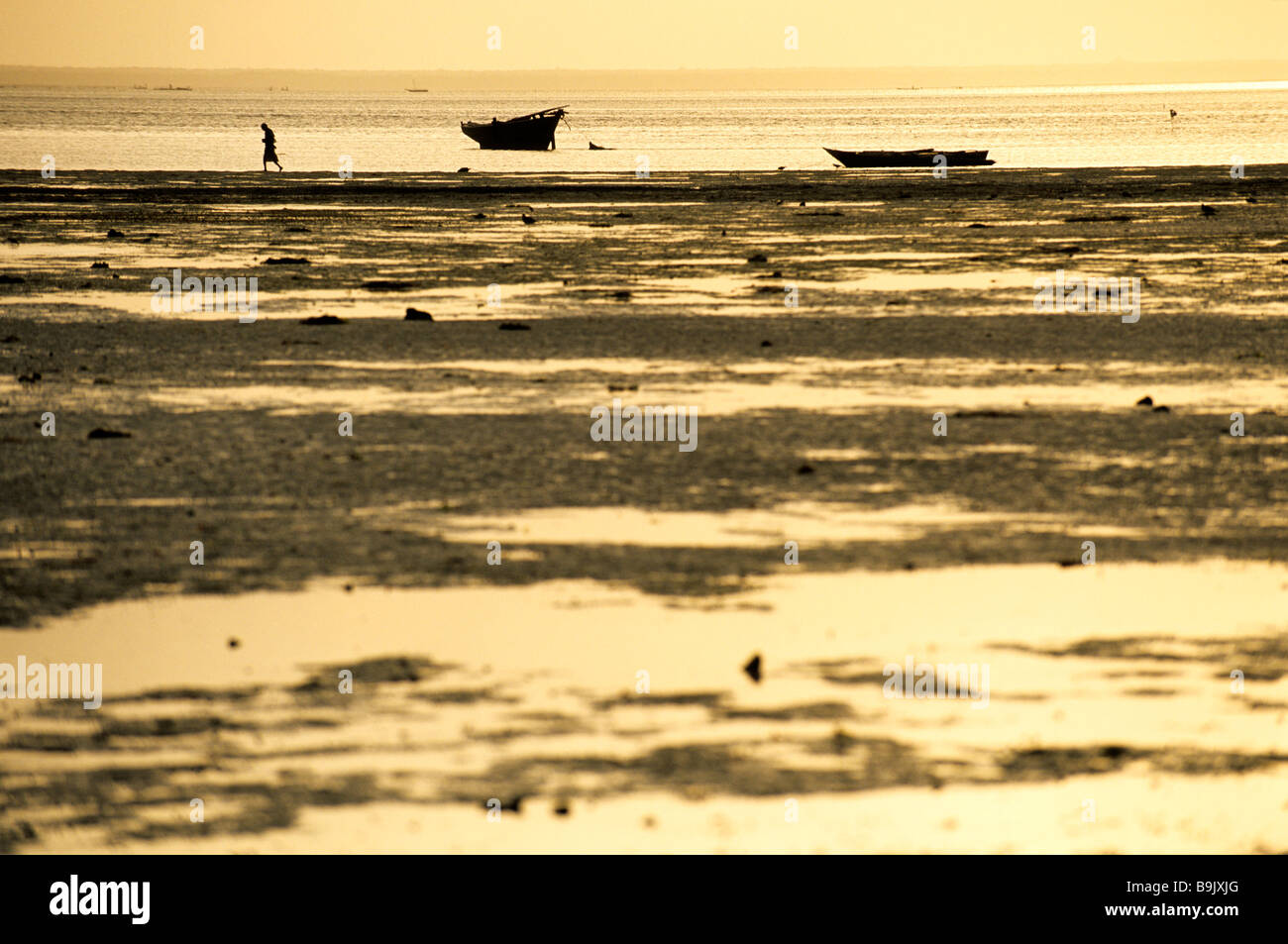 Tanzania, Zanzibar Archipelago, Unguja island (Zanzibar), east coast ...