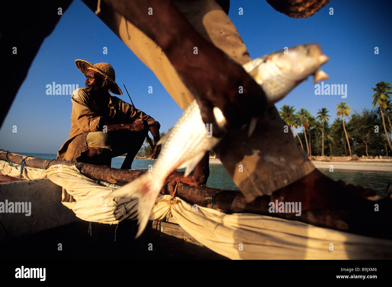 Tanzania, Zanzibar Archipelago, Unguja island (Zanzibar), east coast ...