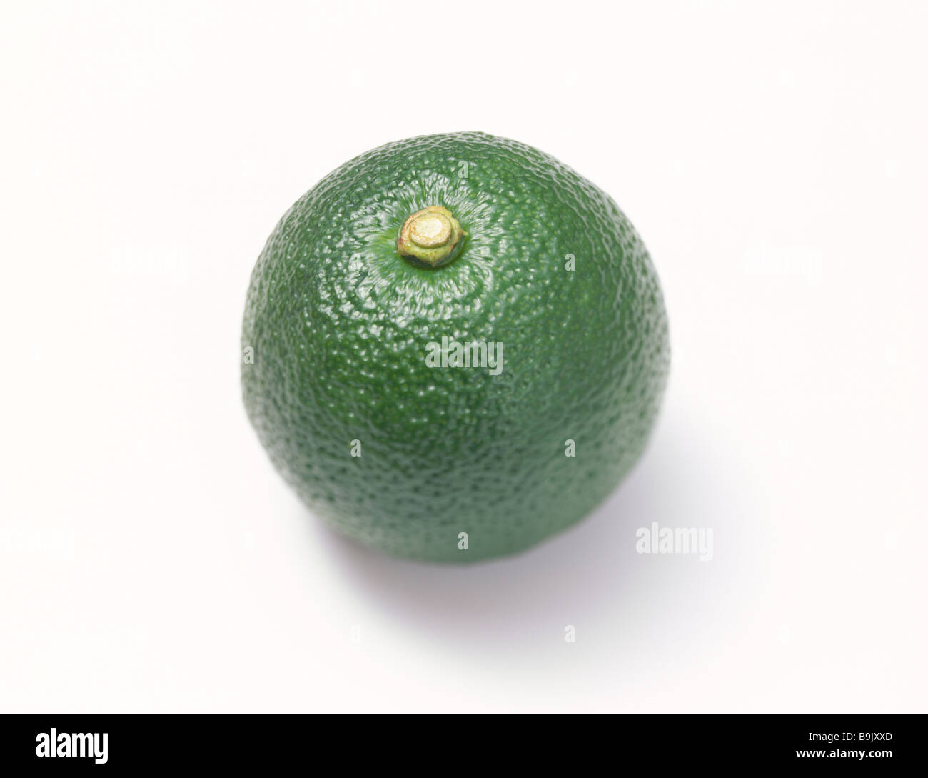 Sudachi Cut Out Stock Images & Pictures - Alamy