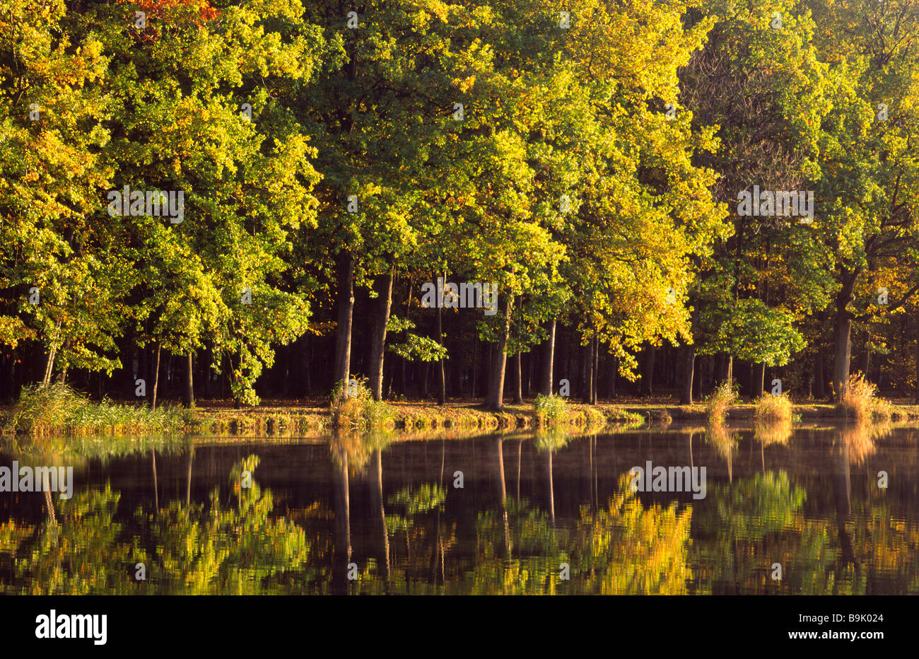 Sange river hi-res stock photography and images - Alamy