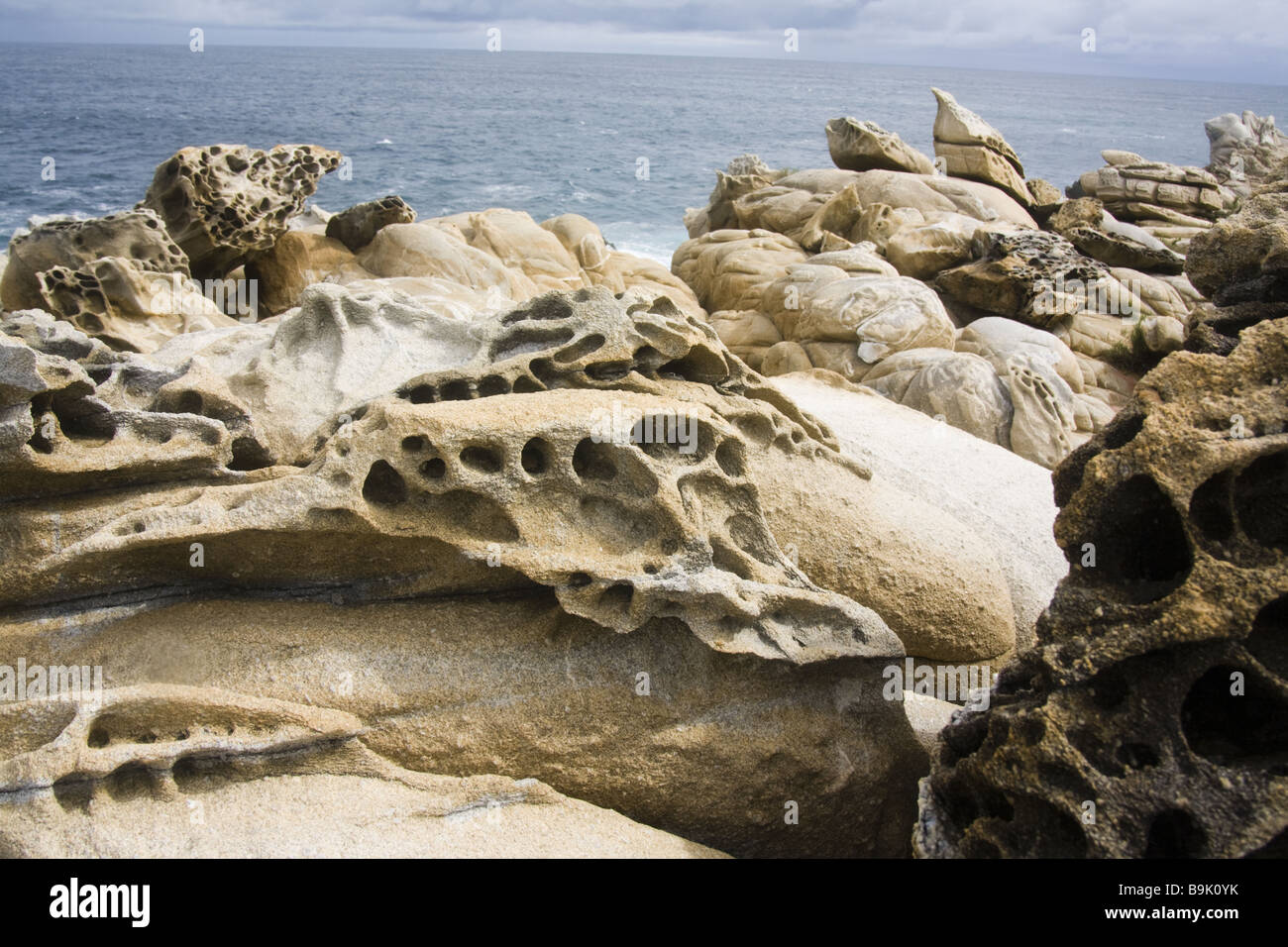 Unusual sandstone formations caused by wind erosion along the Pacific ...