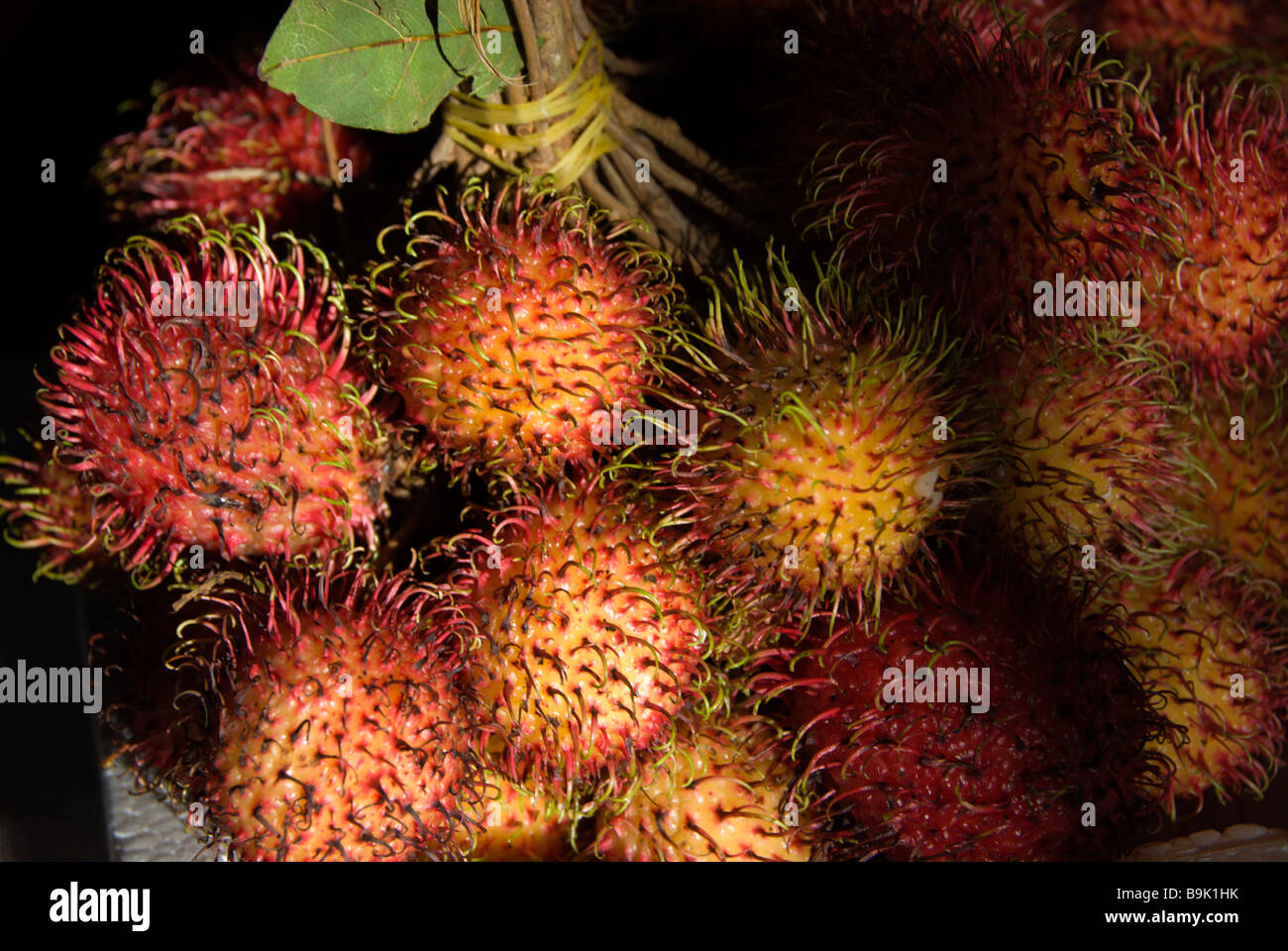 Rambutan chom chom hi-res stock photography and images - Alamy
