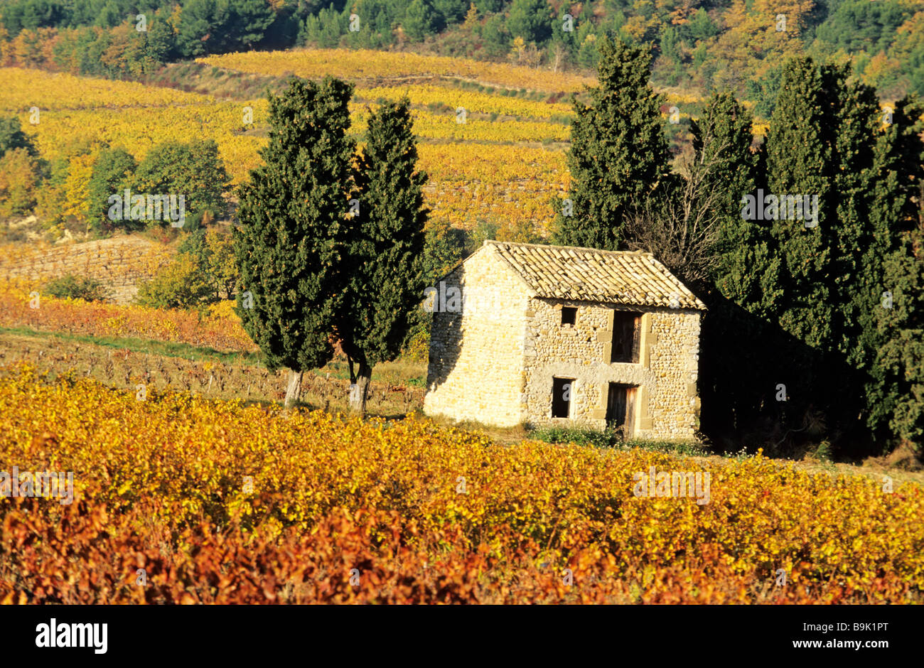 France, Vaucluse, Rasteau Stock Photo - Alamy