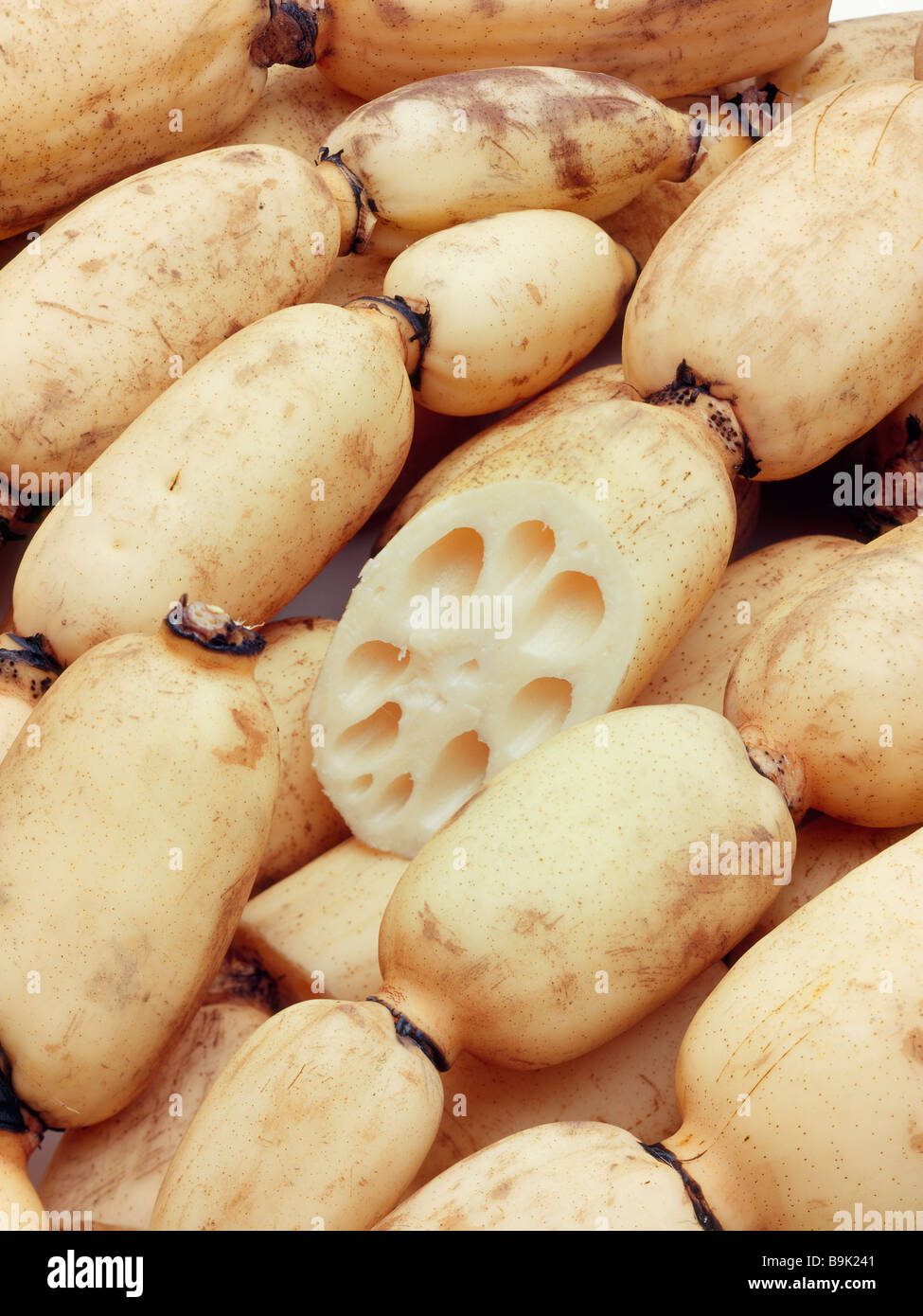 Root vegetables vertical hi-res stock photography and images - Alamy