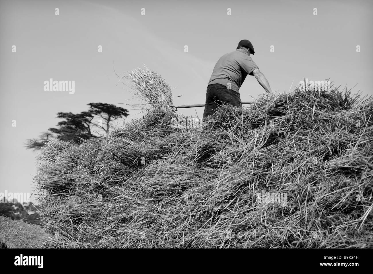 Hay stack Black and White Stock Photos & Images - Alamy
