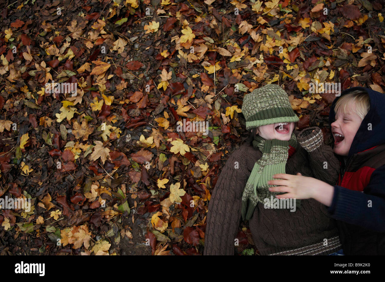 Pal leaves hi-res stock photography and images - Alamy