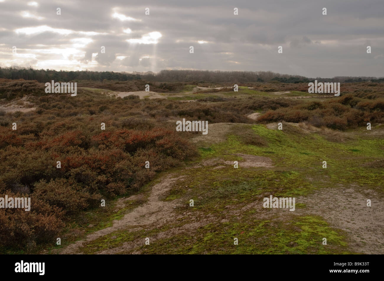 Grey dunes hi-res stock photography and images - Alamy