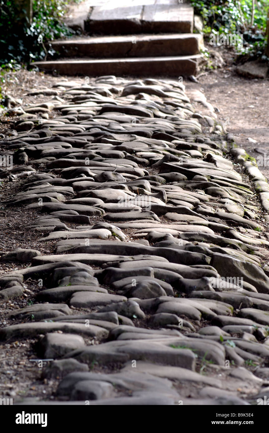 Rough footpath hi-res stock photography and images - Alamy