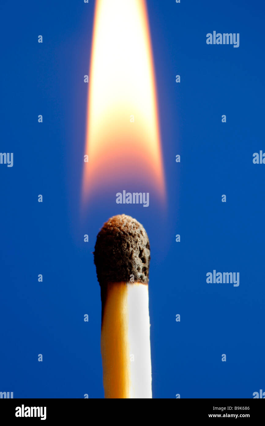 High resolution photo of burning Match with blue background Stock Photo ...