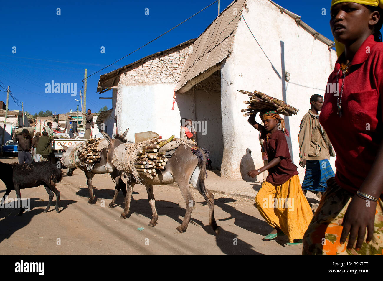 Ethiopia, Harar, town classified as World Heritage by UNESCO, Erer door ...