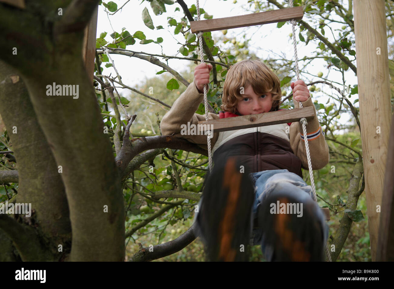 Boy climbing to treehouse Stock Photo - Alamy